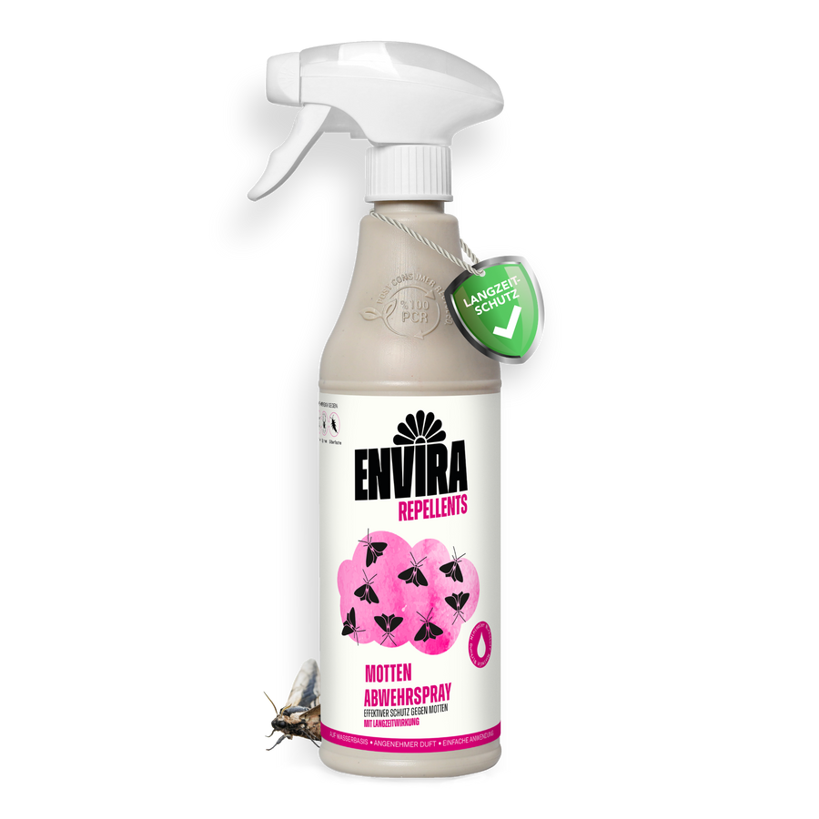 Oh, nein! Ich habe Motten Zuhause!